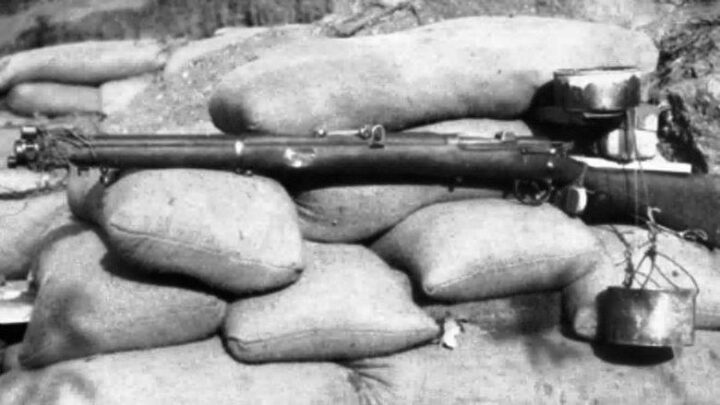 In their own words: letters from ANZACs during the Gallipoli evacuation ...